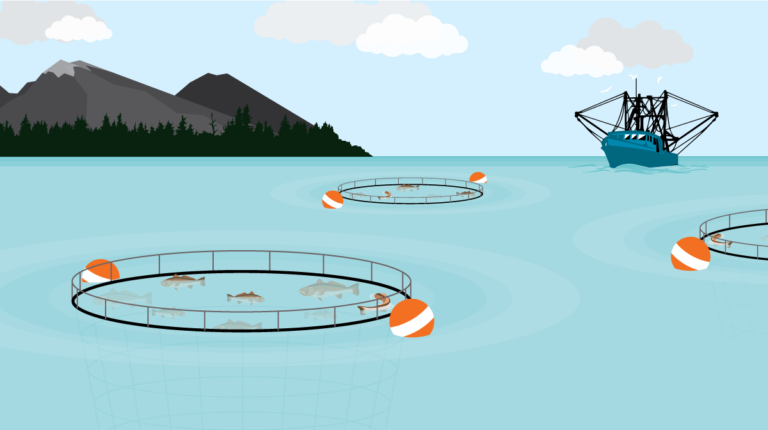 fish-farming-open-graph - ALBURO ALBURO AND ASSOCIATES LAW OFFICES