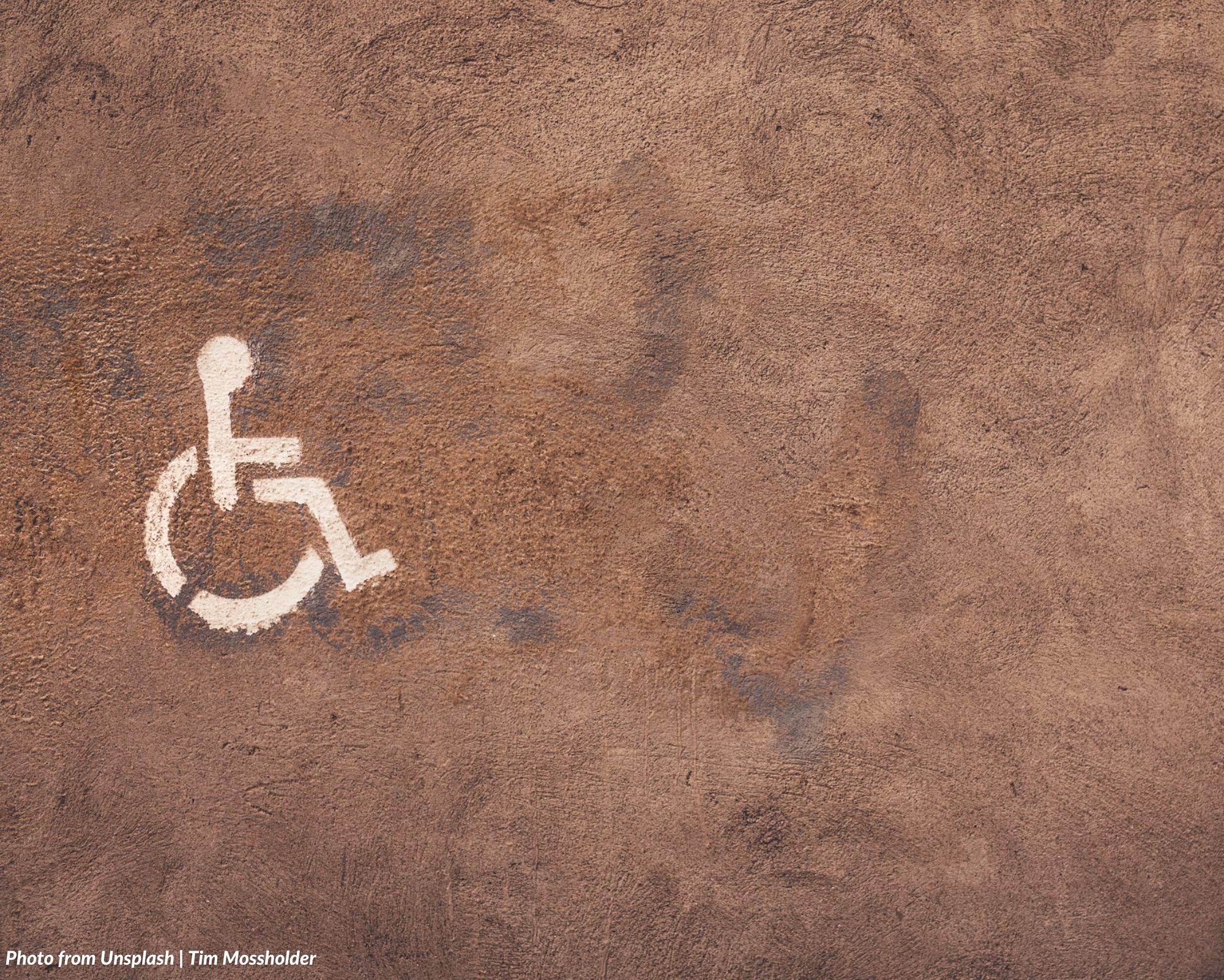 Rights of Persons with Disabilities under the Magna Carta for Disabled ...