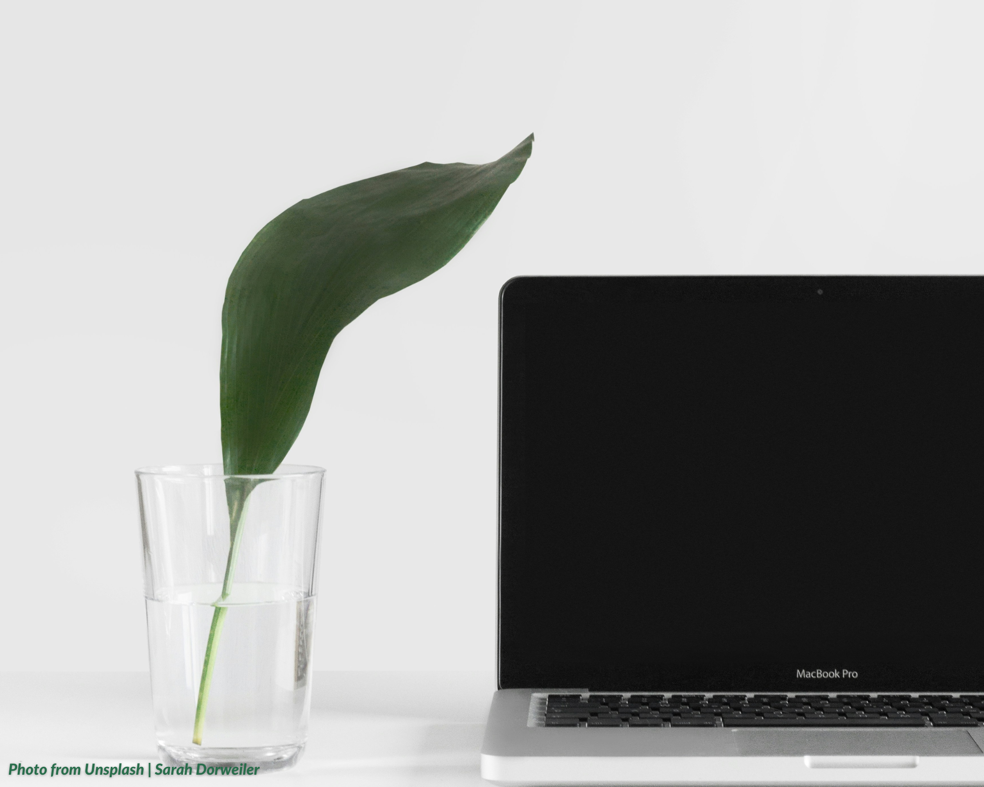 Absence Without Leave (AWOL) vs. Abandonment - ALBURO ALBURO AND ...